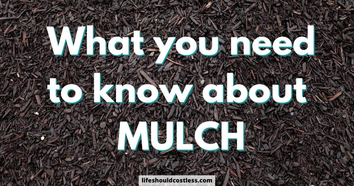 What you need to know about mulch for landscaping - Life Should Cost Less