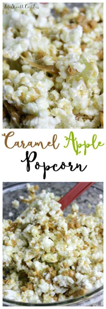 Caramel Apple Popcorn Recipe - Life Should Cost Less