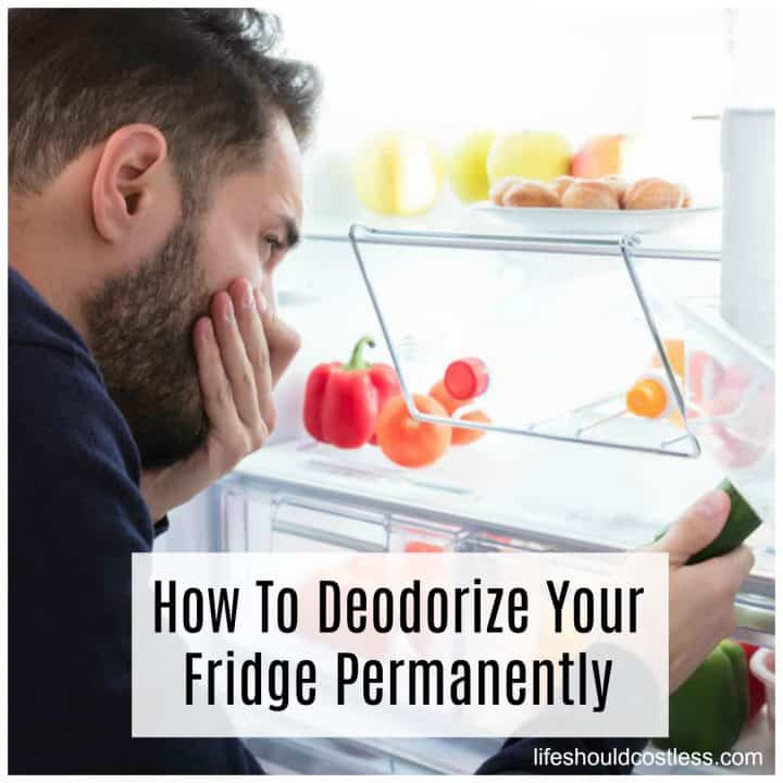 How To Deodorize Your Fridge Permanently - Life Should Cost Less