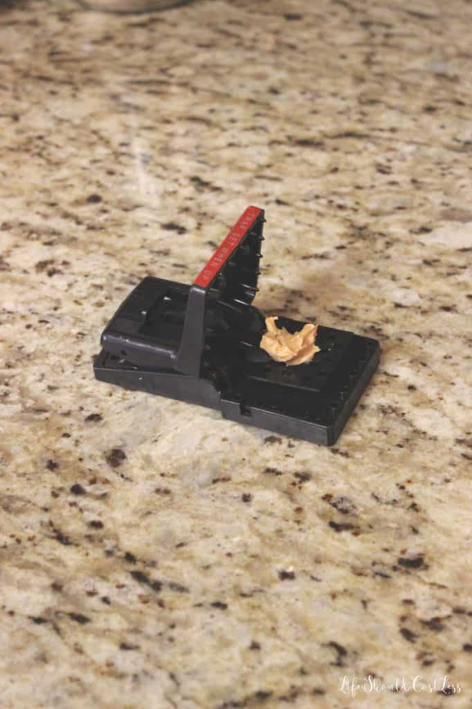 Jawz Mouse Traps Product Review - Life Should Cost Less