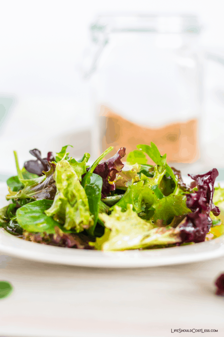 Best Zesty Italian Dressing Mix (Bulk Recipe) - Life Should Cost Less