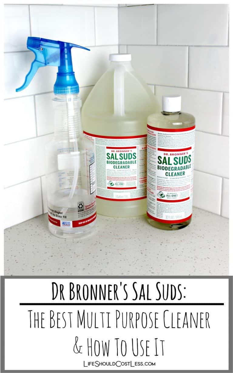 Dr. Bronner's Sal Suds: The Complete Guide & Review (Video) - Life ...