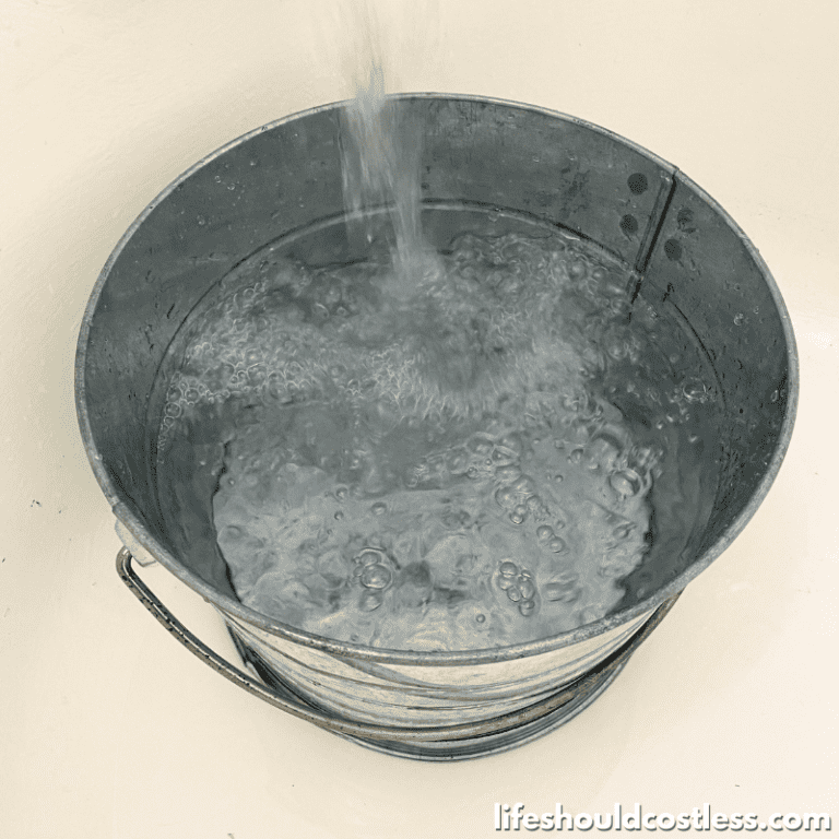 Dr. Bronner's Sal Suds: The Best Multi Purpose Cleaning Product And How ...