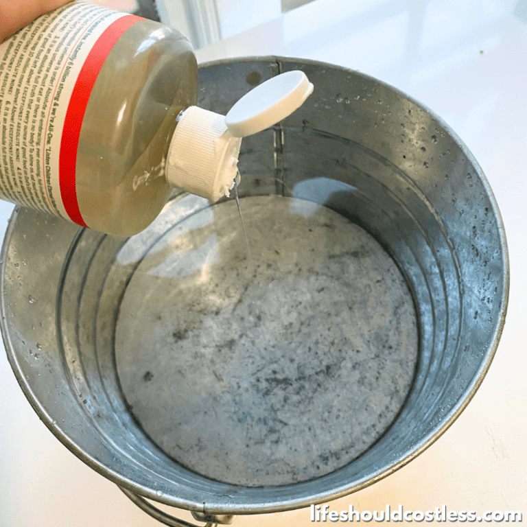 Dr. Bronner's Sal Suds: The Best Multi Purpose Cleaning Product And How ...