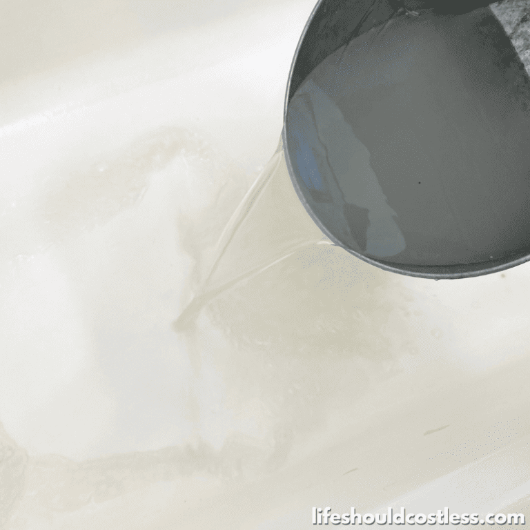 Dr. Bronner's Sal Suds: The Best Multi Purpose Cleaning Product And How ...