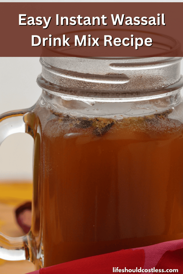 Easy Instant Wassail Drink Recipe (dry mix) - Life Should Cost Less
