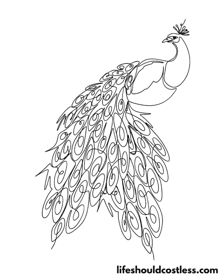 Peacock Coloring Pages (free printable PDF templates) - Life Should ...