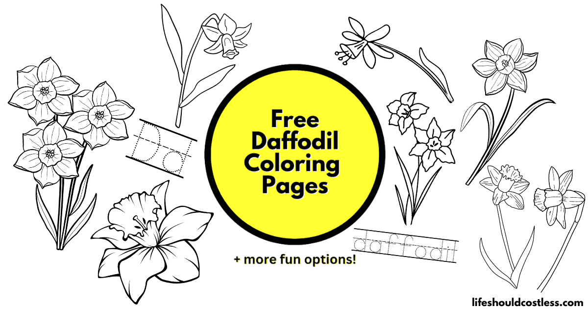 Daffodil Coloring Pages