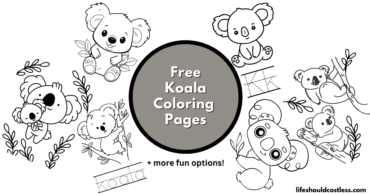 Baby Koala Bear Coloring Pages
