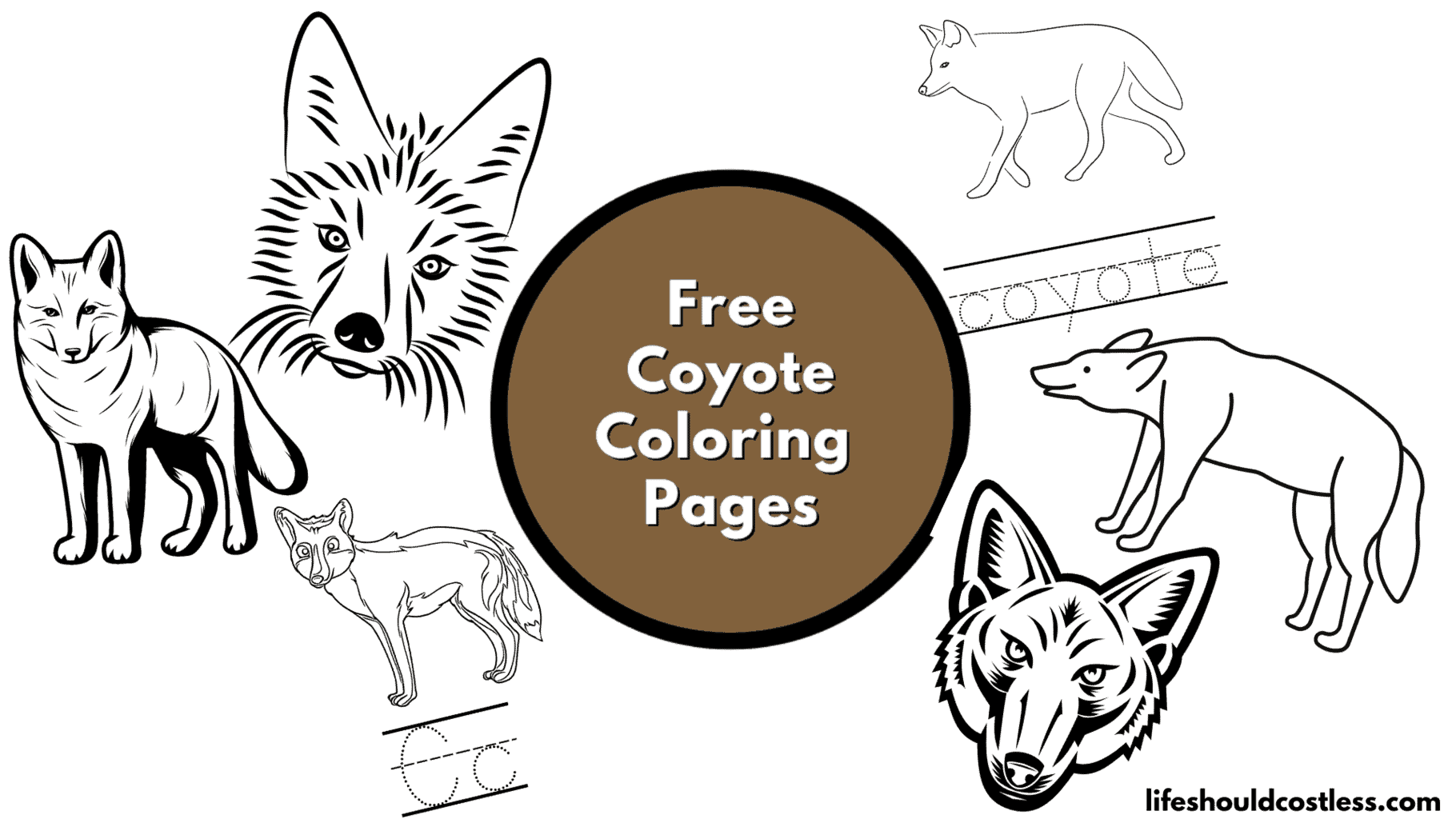 Coyote Coloring Pages