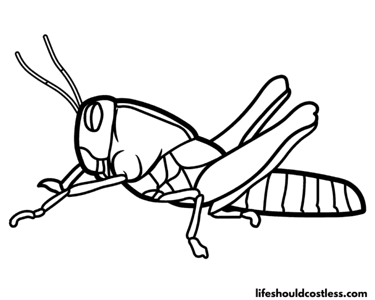 Grasshopper Coloring Pages Free Printable Pdf Templates Life Should Cost Less