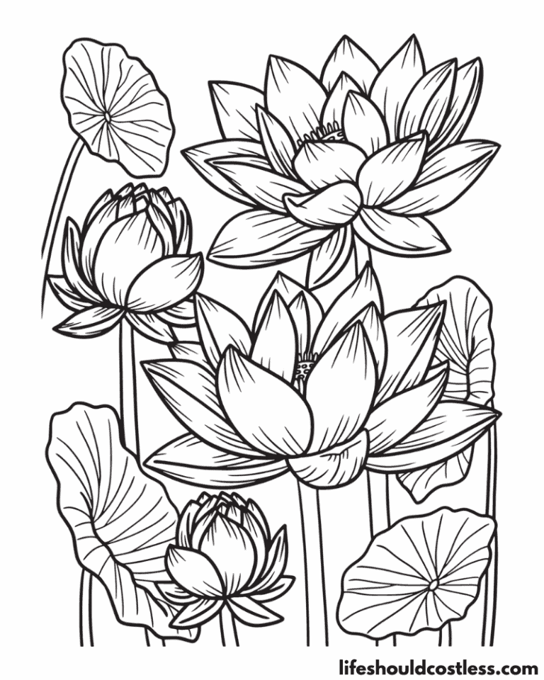 Lotus Coloring Pages (free printable PDF templates) - Life Should Cost Less