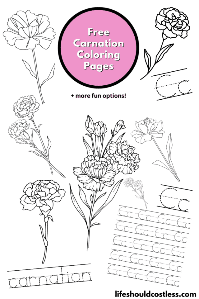 Carnation Coloring Pages (free printable PDF templates) - Life Should ...