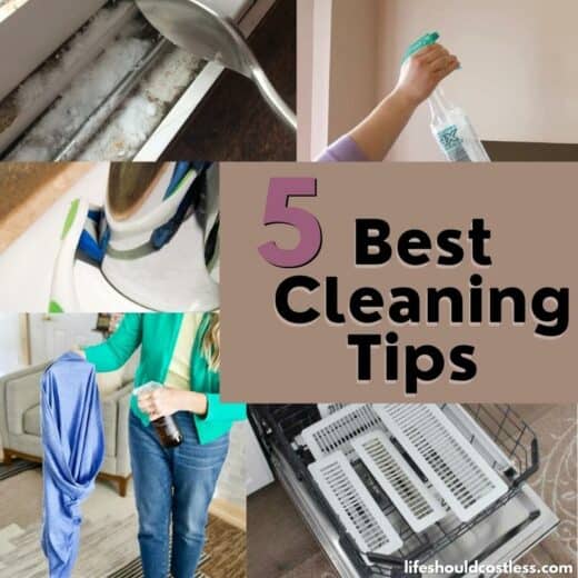 Five Best Cleaning Tips On The Internet - Life Should Cost Less