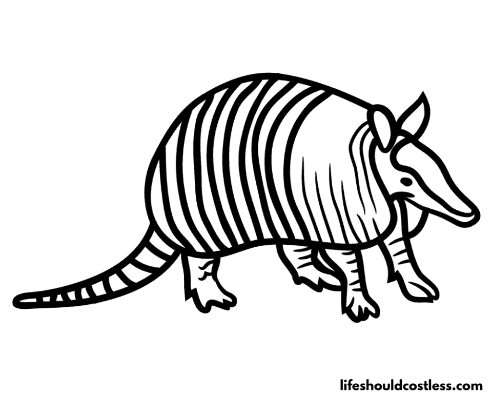 Armadillo Coloring Pages (free PDF prints) - Life Should Cost Less