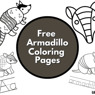 Life Should Cost Less